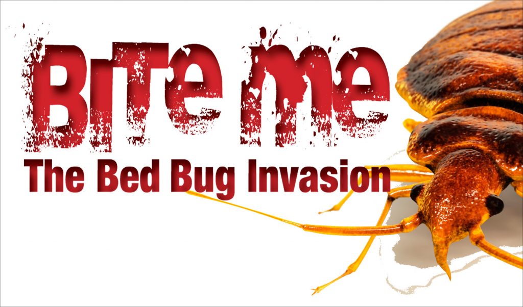 Shows – Tell Tale Productions